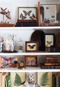 Beautiful Ways to Display Collections in Your Home