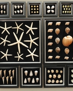 Beautiful Ways to Display Collections in Your Home