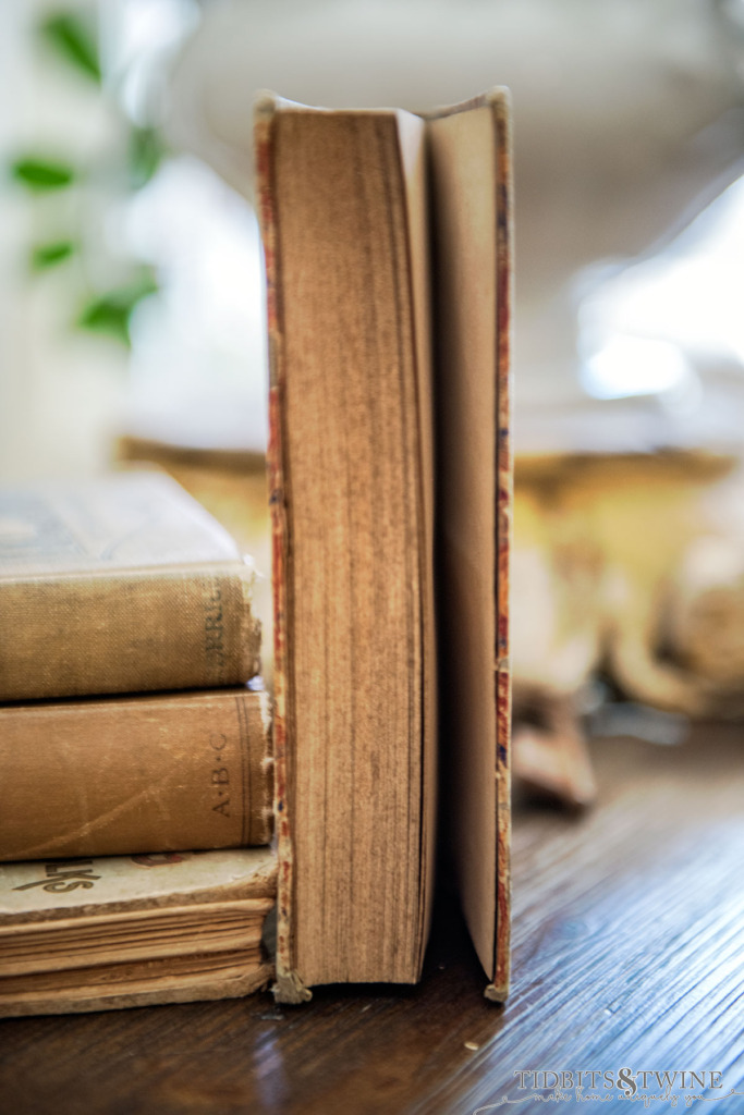 1884 French Book - Tidbits&Twine