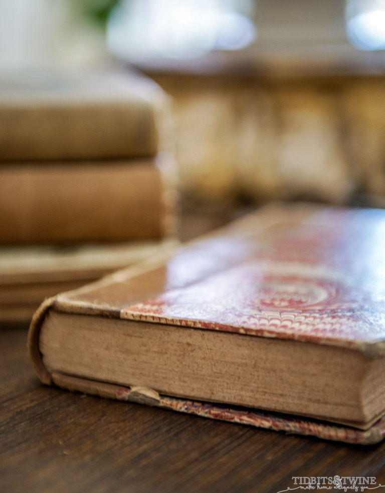 1884 French Book - Tidbits&Twine