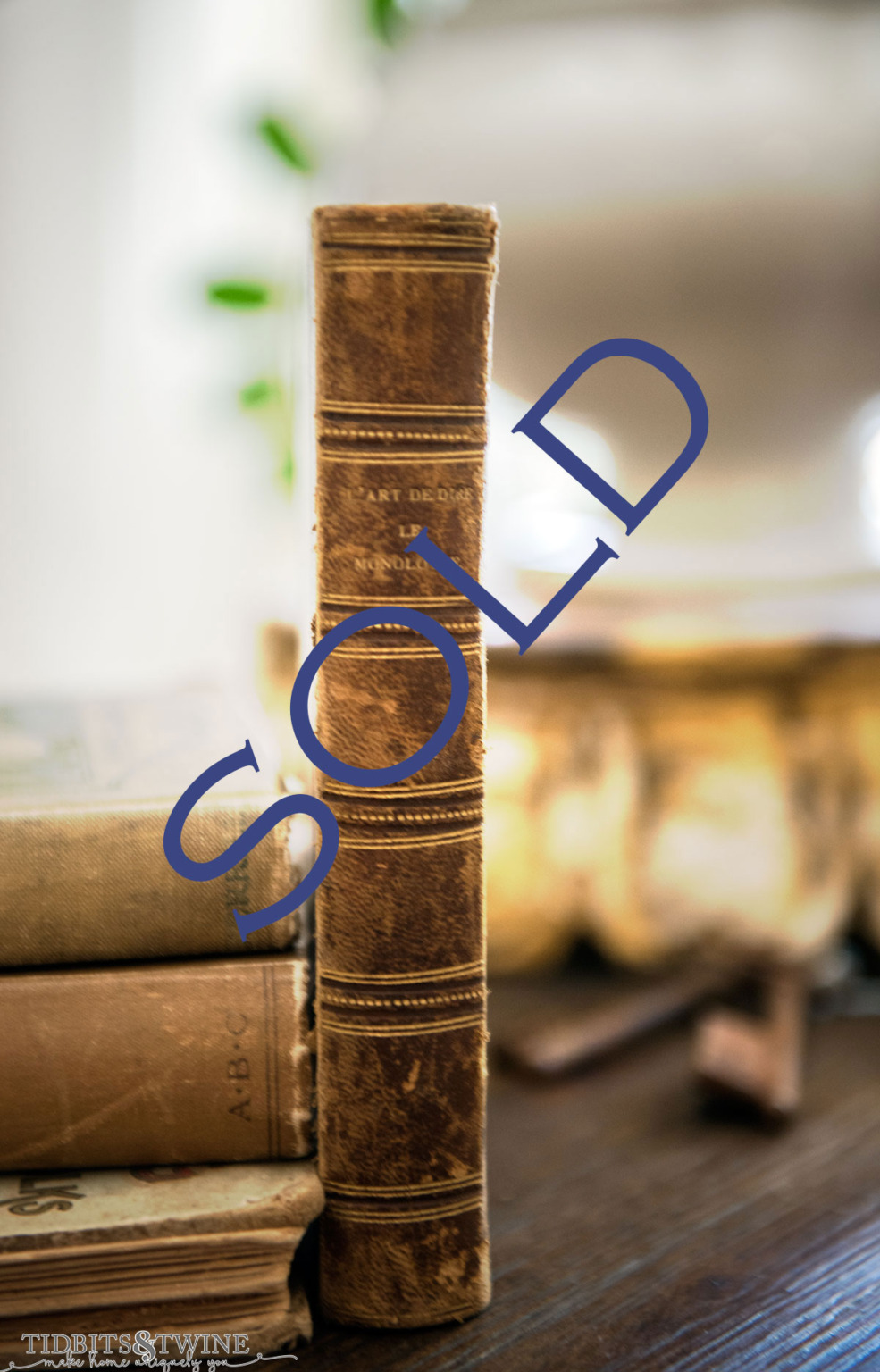 1884 French Book - Tidbits&Twine