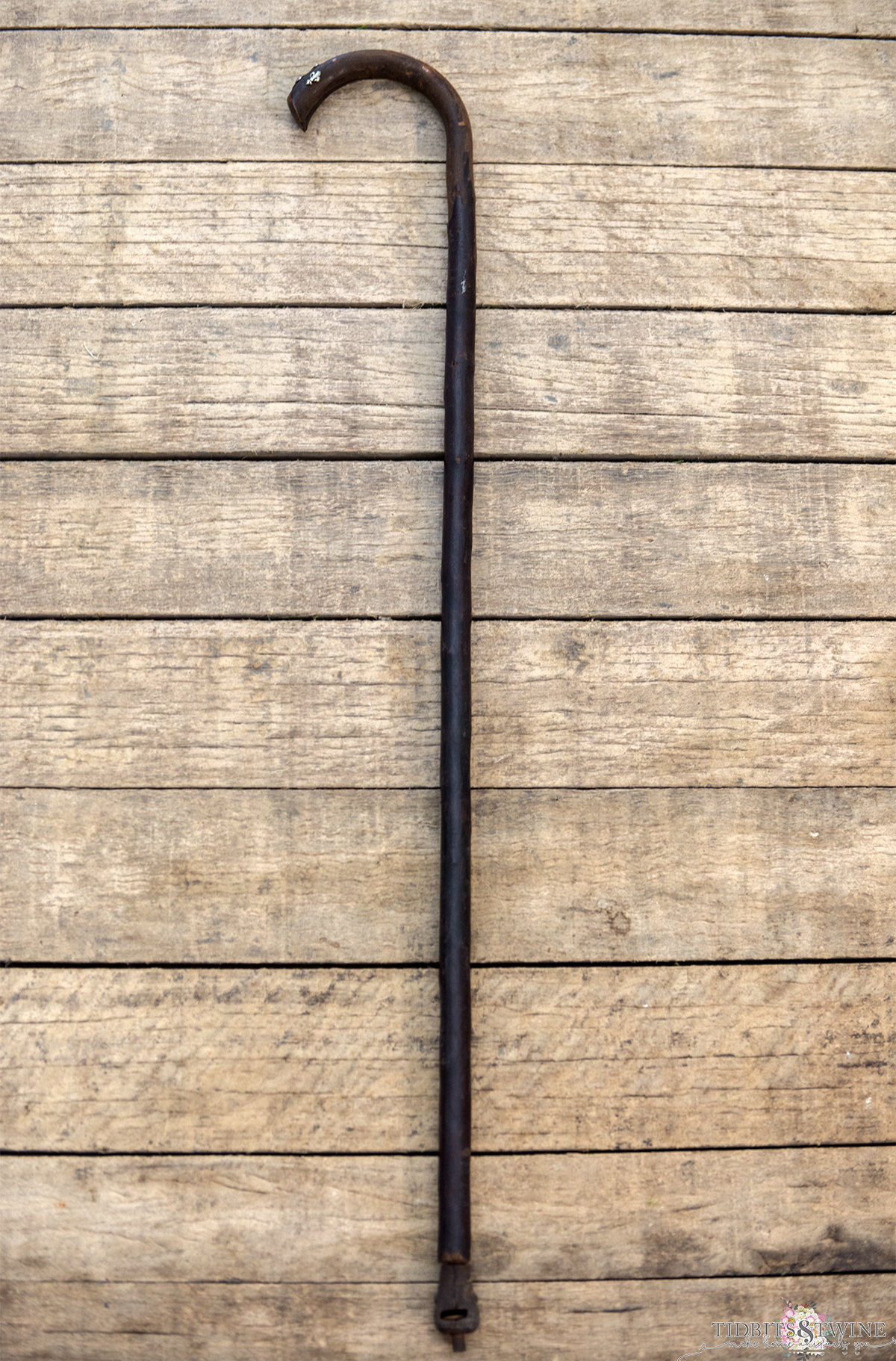 Everything You Want to Know About Gadget Canes and Collecting Them!