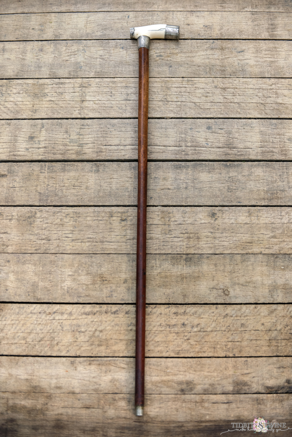 Everything You Want to Know About Gadget Canes and Collecting Them!