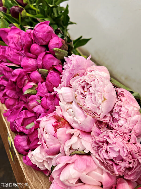 A Public Guide to the SF Flower Mart - Tidbits&Twine