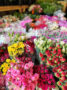 A Public Guide to the SF Flower Mart - Tidbits&Twine