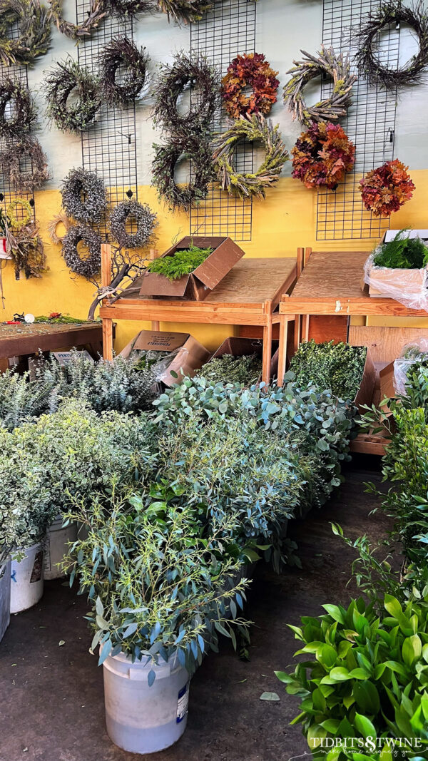 A Public Guide to the SF Flower Mart - Tidbits&Twine