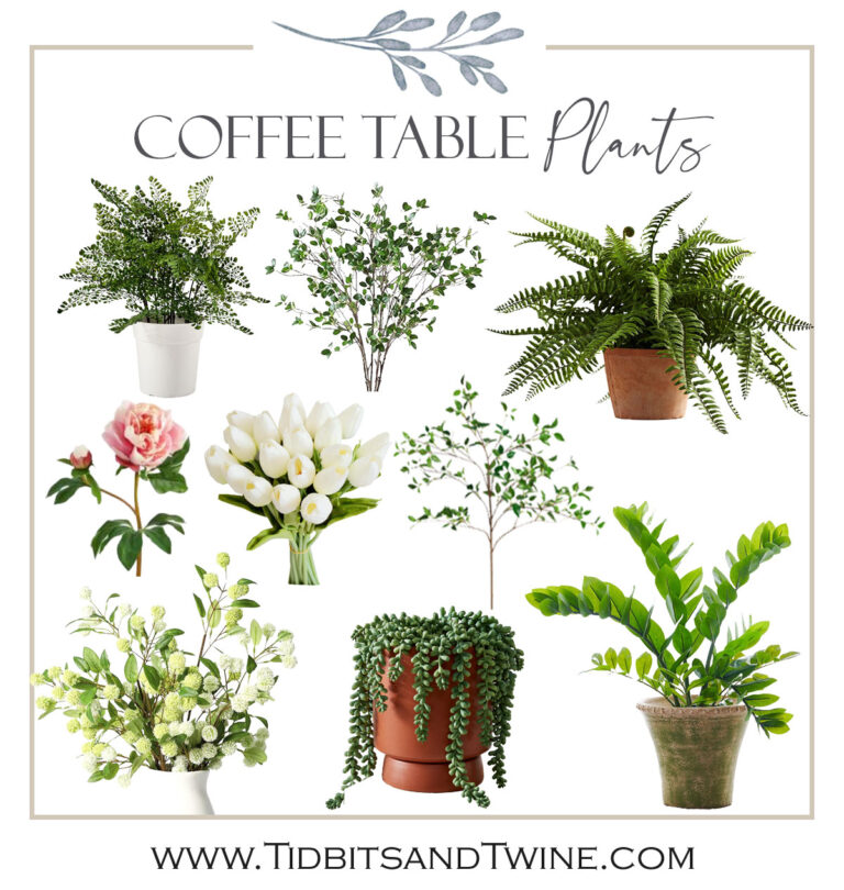 The Best Coffee Table Decor for Any Style - Tidbits&Twine